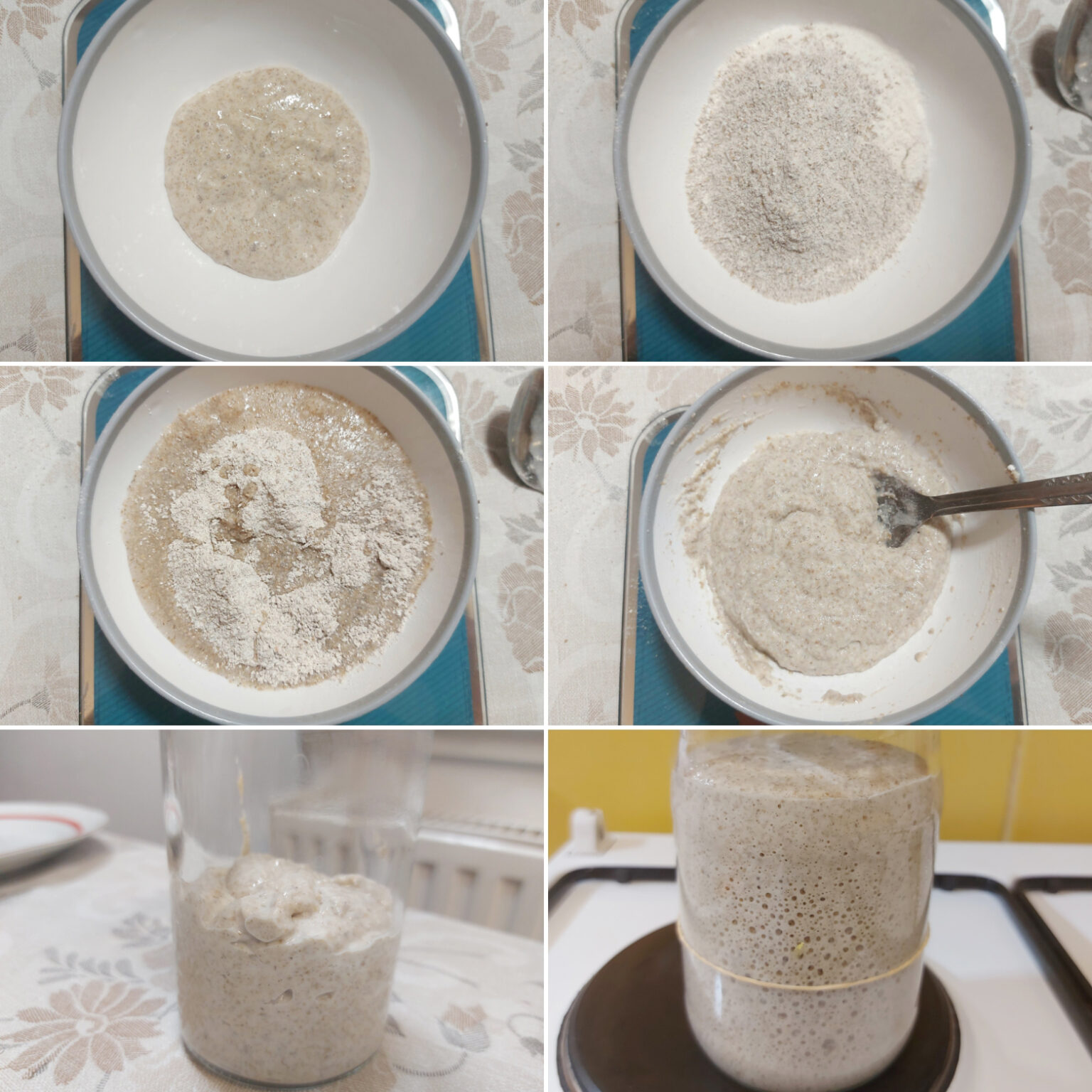 Starter za sourdough - divlji kvasac - MarinaS Taste